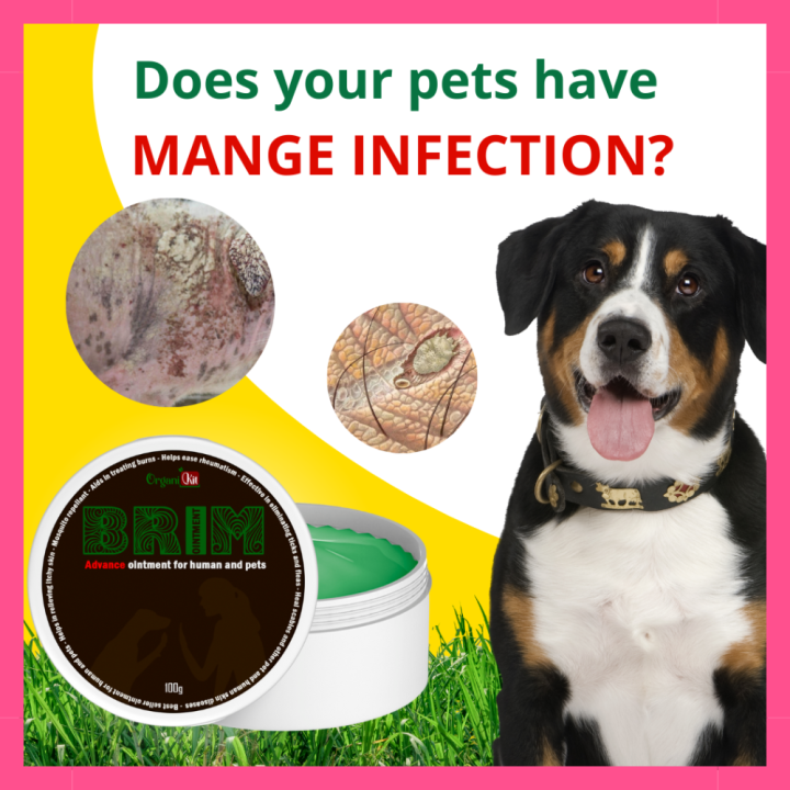 [ ORGANIKIT ] - Brim Ointment for Pets / Dog ointment for skin disease ...