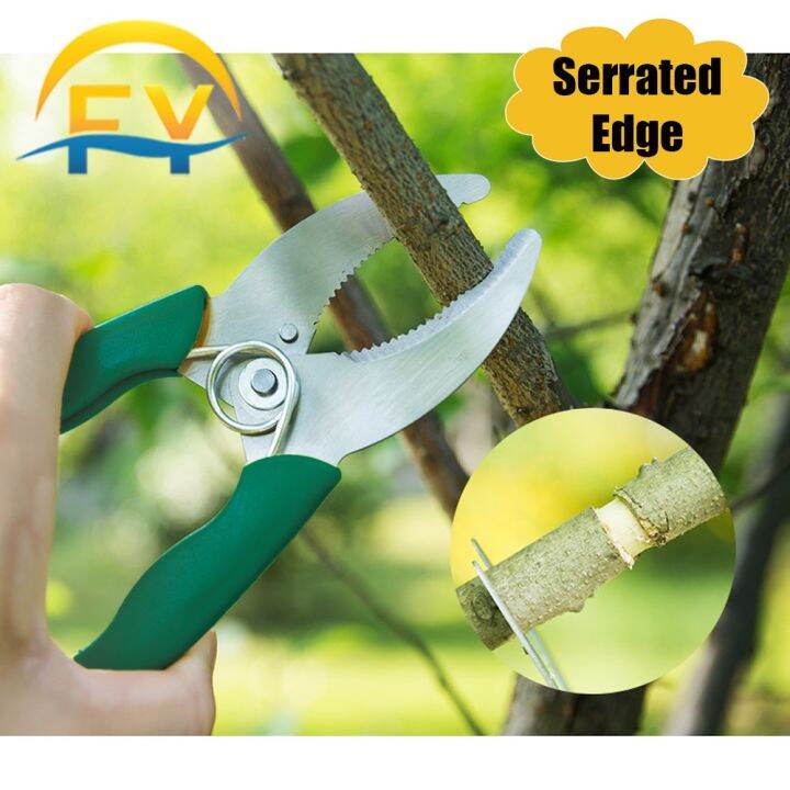 FY Tree Ring Cutter Peeler Peeling Shears Grafting Tool Stripping ...
