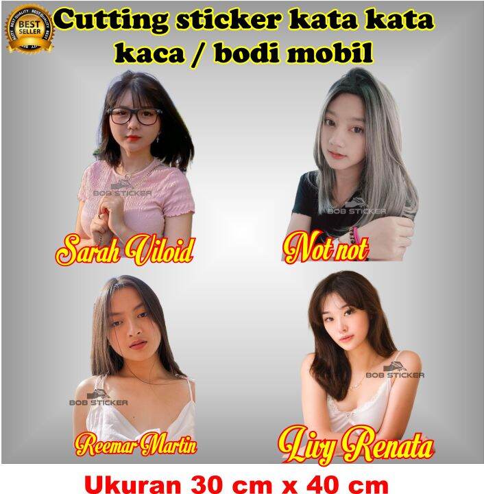 Viral!! sticker pintu mobil, stiker cewe cantik, stiker wanita, sticker ...