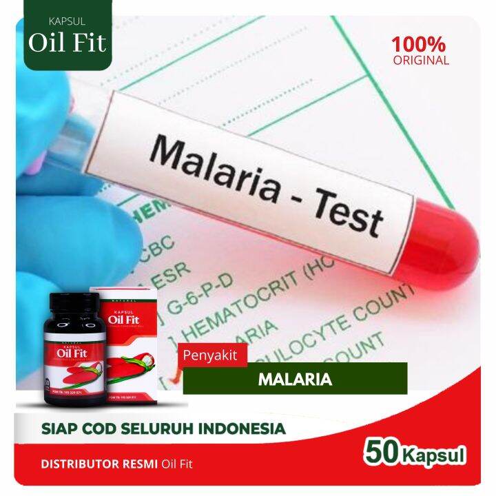 Obat Penyakit Malaria - OilFit 50 Kapsul Multikhasiat 100% Minyak Buah ...