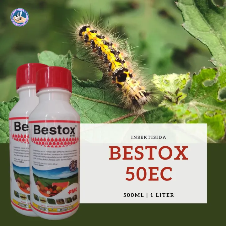 Insektisida BESTOX 500ml - Obat Pengendali Dan Pembasmi Hama Wereng ...