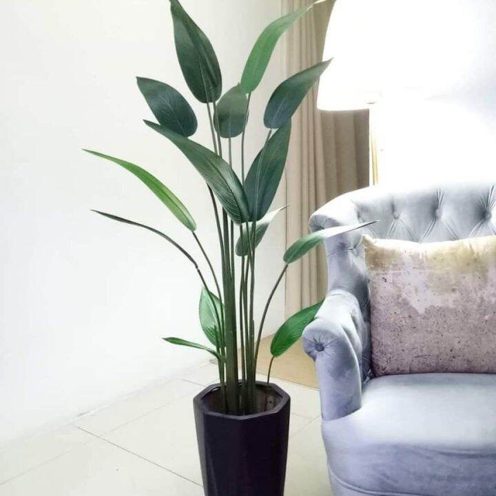 POKOK SKYBIRD 160cm | Lazada
