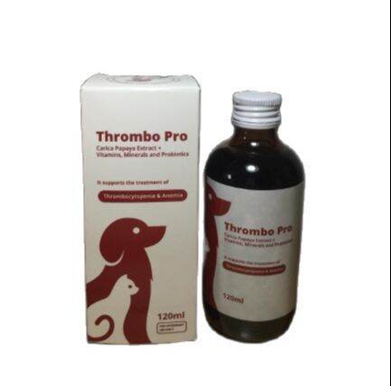 1 BOTTLE THROMBO PRO 120 ML / ORAL SUPPLEMENT / VITAMINS PARA SA ASO ...