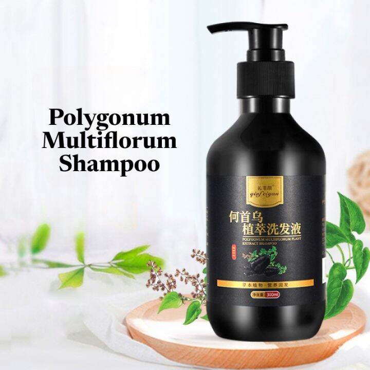 300ml Polygonum Multiflorum Shampoo Hair Washing Shampoo Anti Dandruff Shampoo Polygonum Syampoo ...