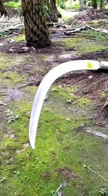 MI GLOBAL ASLI TANPA ASAH | Lazada Indonesia