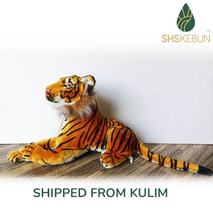 Small Tiger Toy 30CM/40CM/50CM Anak Patung Harimau Mainan Harimau Untuk ...