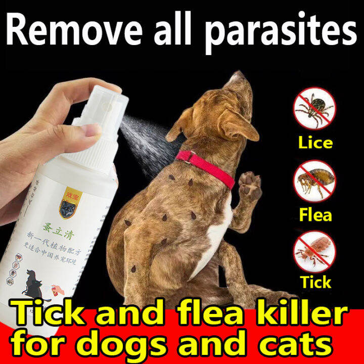 100% Effective Pet Tick and Flea Spray 120ML Pet flea killer spray Pet ...