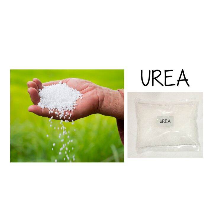 urea plant food source 25g 50g 100g | Lazada PH