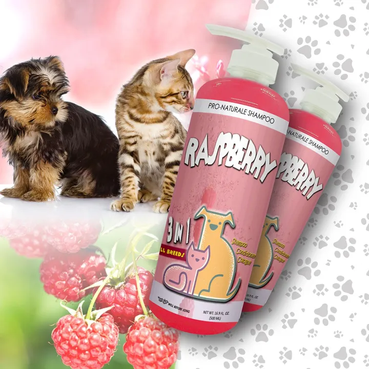 3 in 1 Shampoo Conditioner and Cologne 500mL (Raspberry) | Lazada PH