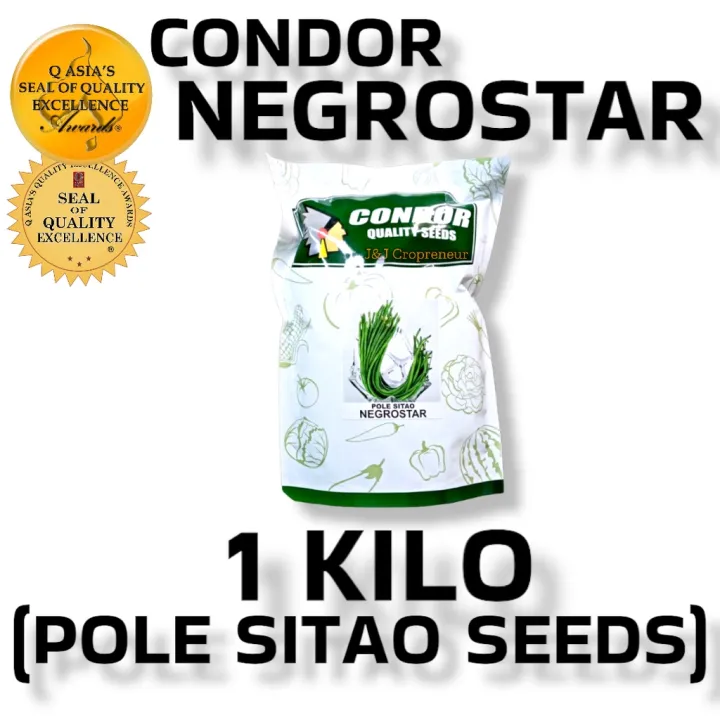 CONDOR SEEDS - SITAO SEEDS OPV - NEGROSTAR VARIETY - 1 KILO ORIGINAL ...