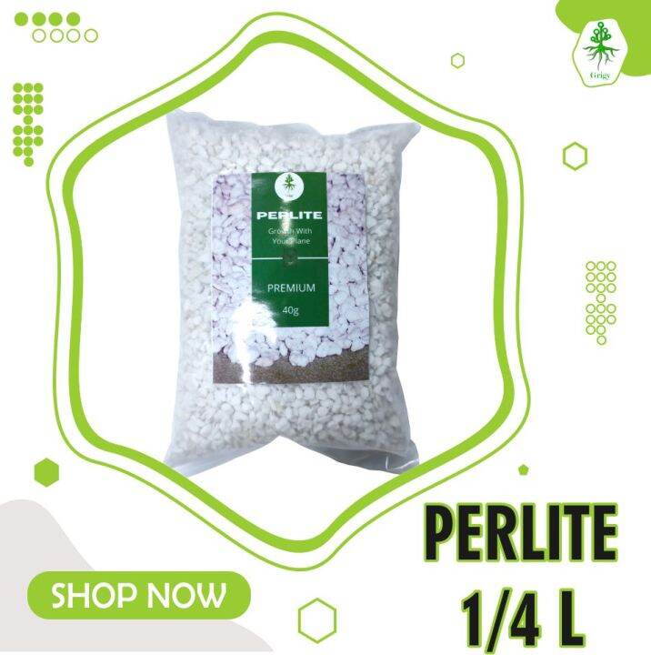 PERLITE MEDIA TANAM KAKTUS - PERLITE MEDIA TANAM HIDROPONIK | Lazada ...