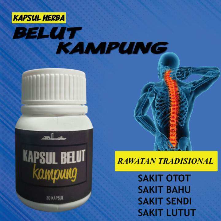 Kapsul Belut Kampung Original 100% BERKESAN, medu,angin,gastrik,gerd ...
