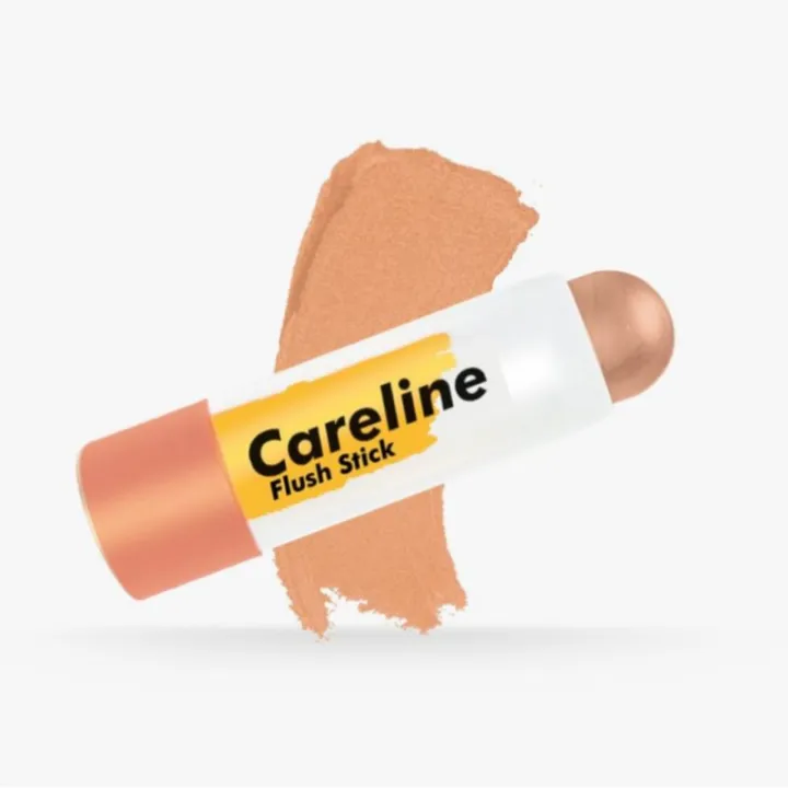 Careline Flush Stick (Multi Stick) | Lazada PH