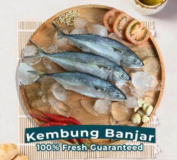 Ikan Kembung Banjar Segar | Lazada Indonesia