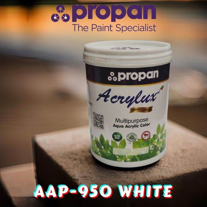 Propan Cat Acrylux primer 1 kg AAP-950 | Lazada Indonesia