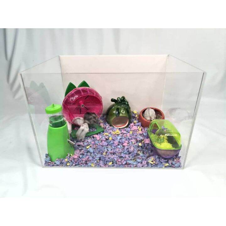 Acrylic Hamster & Small Animals Cage. M4 Size | Lazada