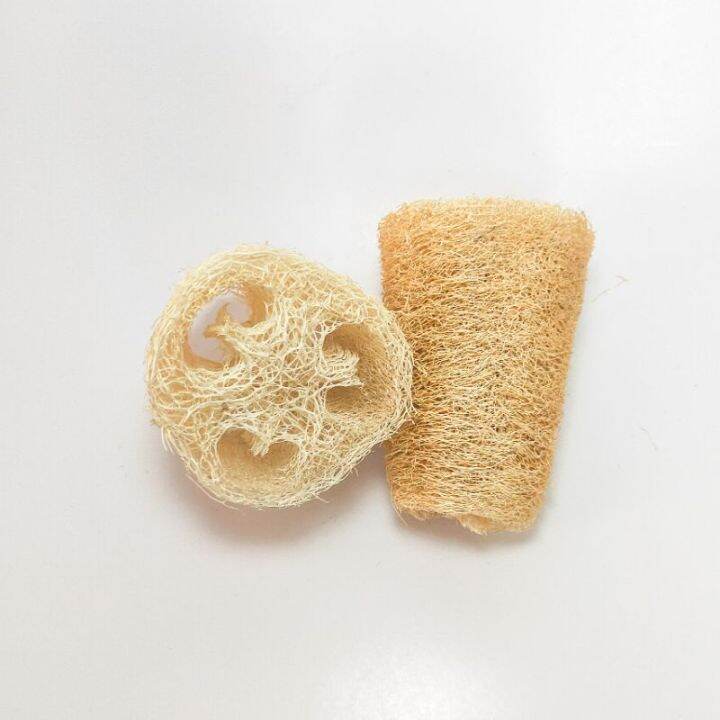 Loofah Sponge Spons Gambas Natural Alami / Spons Sabut Cuci Piring ...