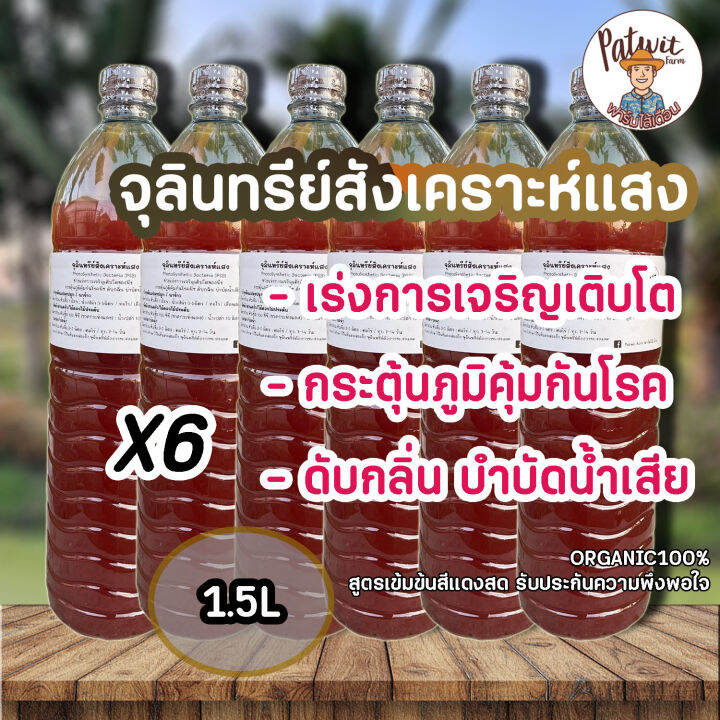 (ค่าส่งถูก)จุลินทรีย์สังเคราะห์แสง PSB ขนาด1.5L ชุด6ขวด สูตรเข้มข้นสีแดงสด ใช้ขยายเชื้อต่อได้ไม่ ...