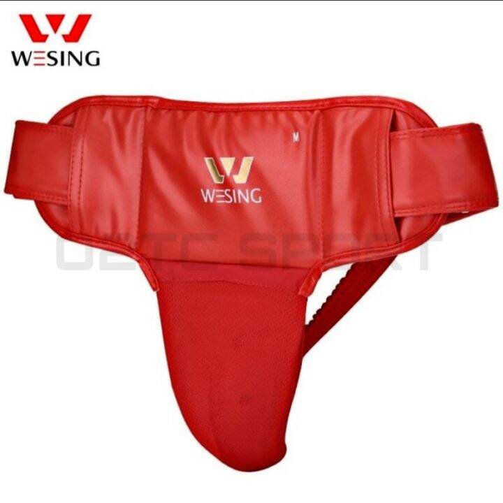 WESING MALE GENITAL - GROIN GUARD | Lazada Indonesia