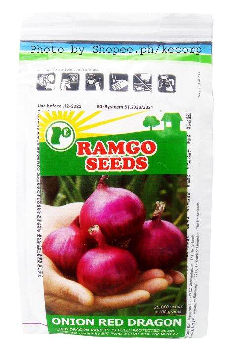 Onion Red Dragon 25,000 seeds by Bejo Netherland Imported by Ramgo ...