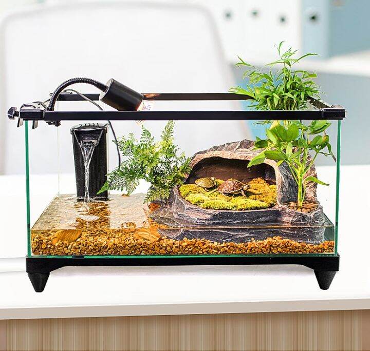 Glass Tortoise Turtle Tank Fish Crab Reptile Terrapin Vivarium Case ...
