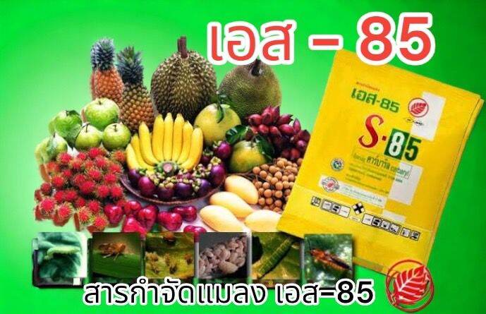 เอส85 s85 คาร์บาริล สารกำจัดแมลง หนอน เพลี้ย มด ด้วง ขนาด 100กรัม | Lazada.co.th