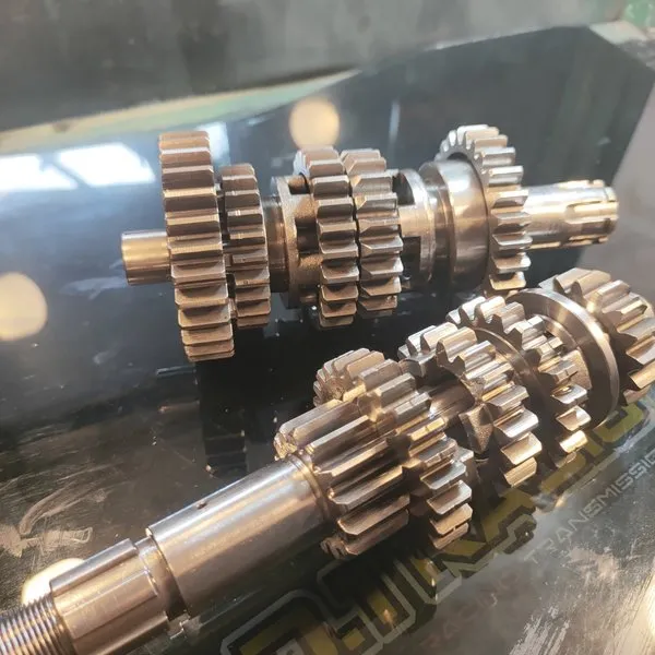 Rasio Tiger 5speed PNP Crankcase Tiger | Lazada Indonesia