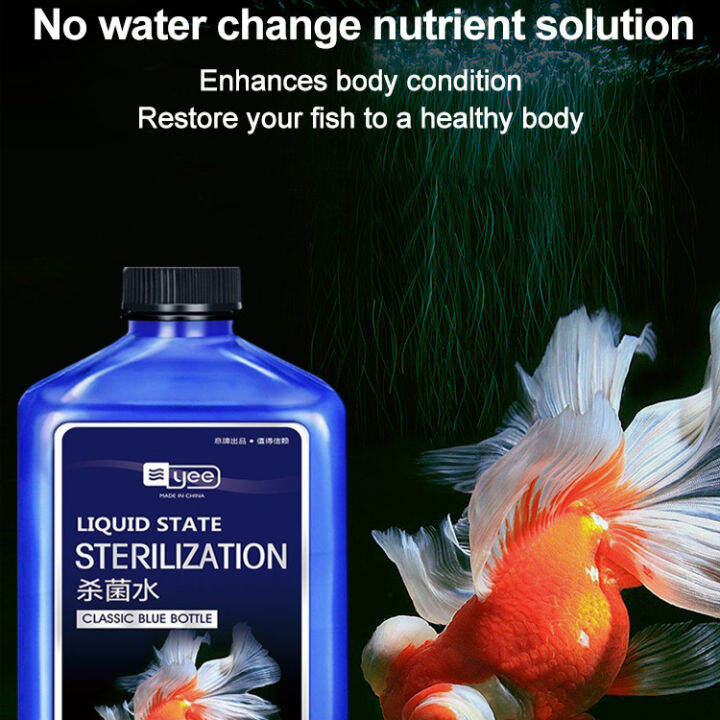 geegofirst Restore Your Fish's Health with Bacterial Fish Disease ...