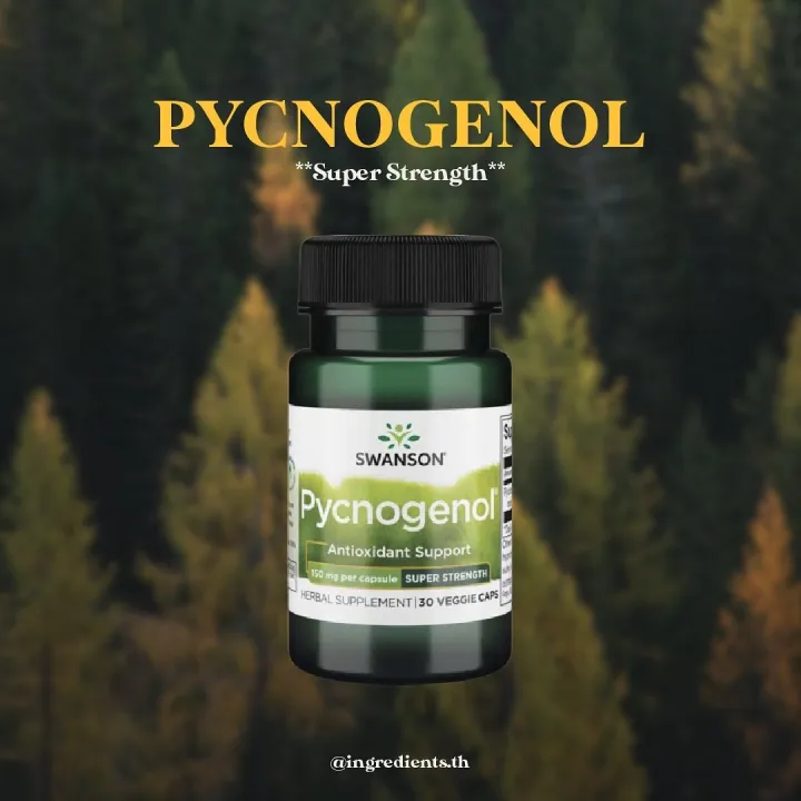 Pycnogenol 150mg 30 capsules | Lazada.co.th