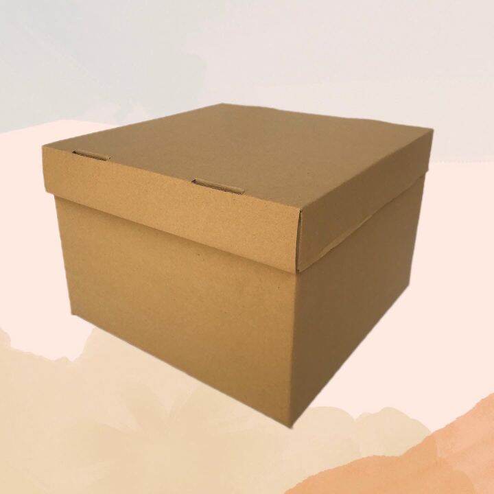 Box 40x40x25 cm (Set Top/Bot Asia) Kardus/Karton/Paking/Polos/Hampers ...