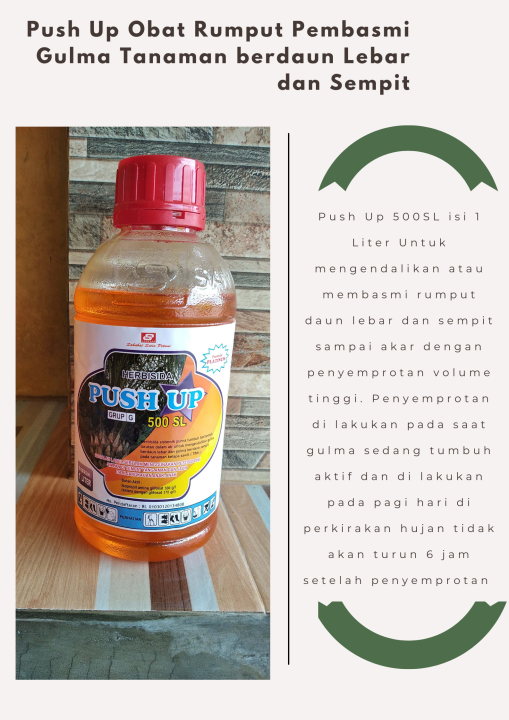 Push Up Obat Rumput Pembasmi Gulma Tanaman berdaun Lebar dan Sempit ...