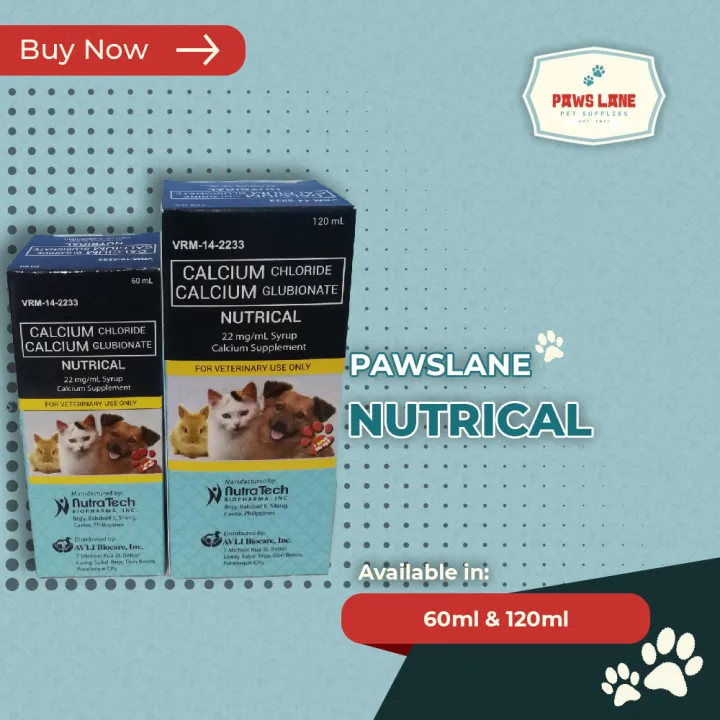Nutrical Calcium Syrup Supplement 60ml | Lazada PH