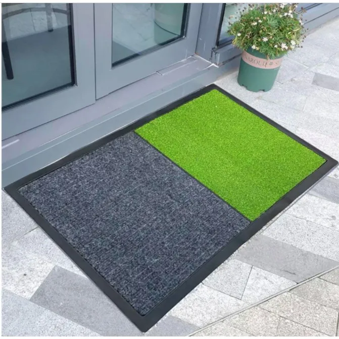 2 in 1 Disinfectant Sanitizing Mat Wet and Dry | Lazada PH