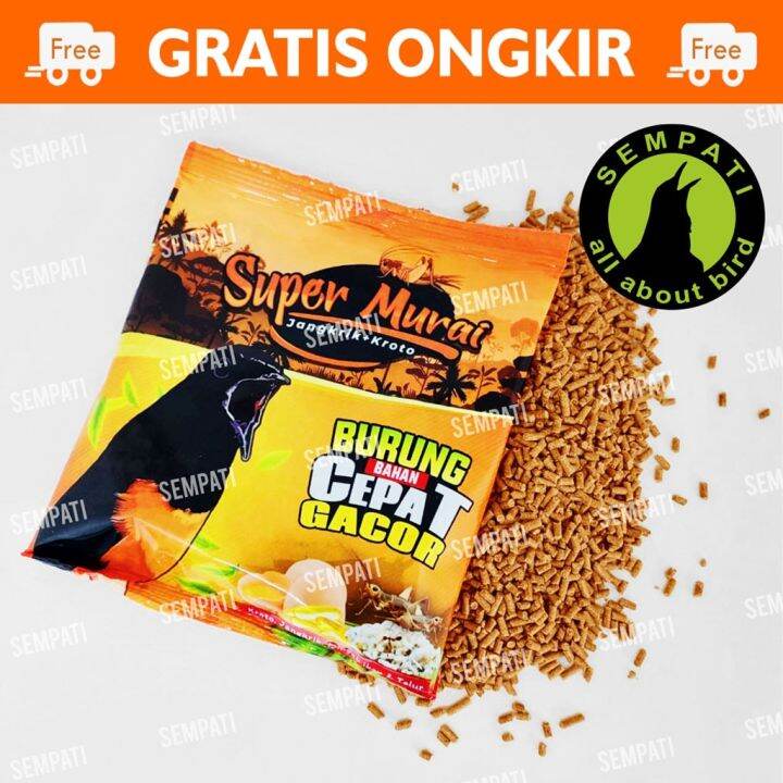 Voer Murai Super Murai Sempati Jangkrik Kroto Sari Pakan Voer Pur ...