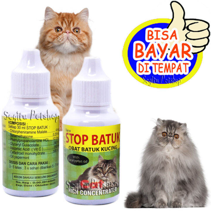 Obat Kucing Batuk Sakit Pilek Pernapasan Demam STOP BATUK | Lazada ...