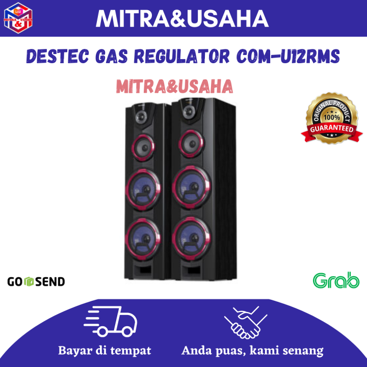 POLYTRON PAS-8F28 SPEAKER AKTIF KARAOOKE + USB + BLUETOOTH - BERGARANSI ...