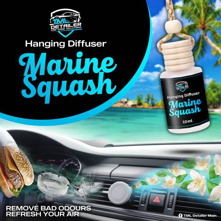 Marine Squash Car Hanging Diffuser 10m TML DETAILER | Lazada PH