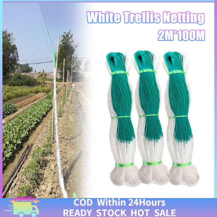 [Fast Delivery]Garden Plant Climbing Net Cucumber Vegetables Trellis ...