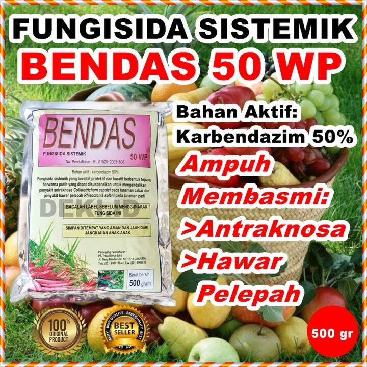 Bendas 50 WP 500 gr Fungisida Sistemik Karbendazim Sulfur Carbendazim Obat Pembasmi Hama Jamur ...