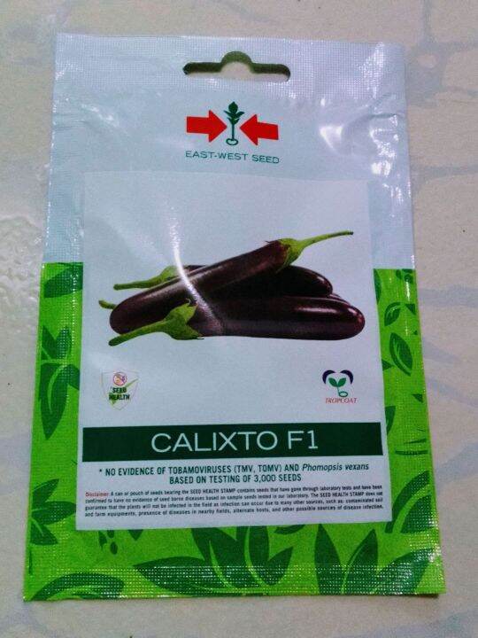 CALIXTO F1 HYBRID EGGPLANT SEEDS (875 SEEDS) BY EAST WEST SEEDS | Lazada PH