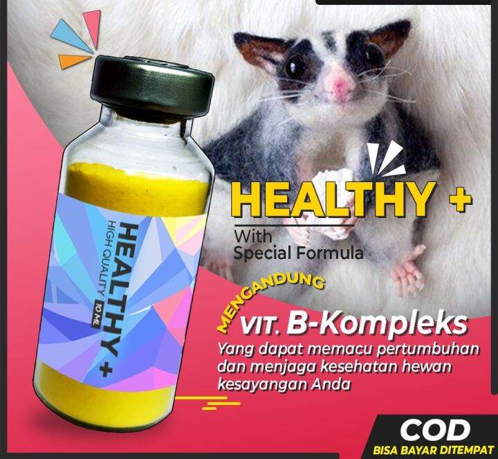 Vitamin Sugar Glider Obat Sugar Glider Penambah Nafsu Makan Sugar Glider Joey Leucistic HEALTHY ...
