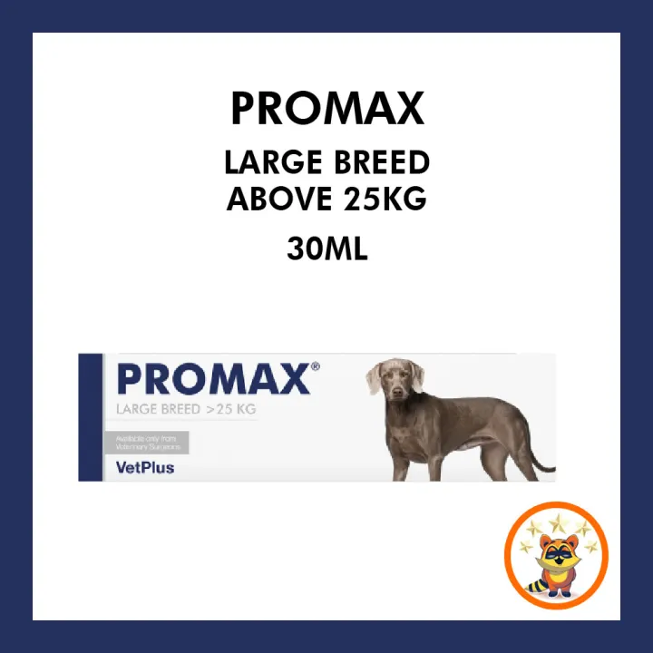 Vetplus Promax Nutritional Supplement for Large Dog Above 25kg Canine 30ml Syringe | Lazada