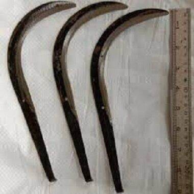 Kait Sabit Kelapa sabit pisang/ Sickle Coconut Sickle banana ...