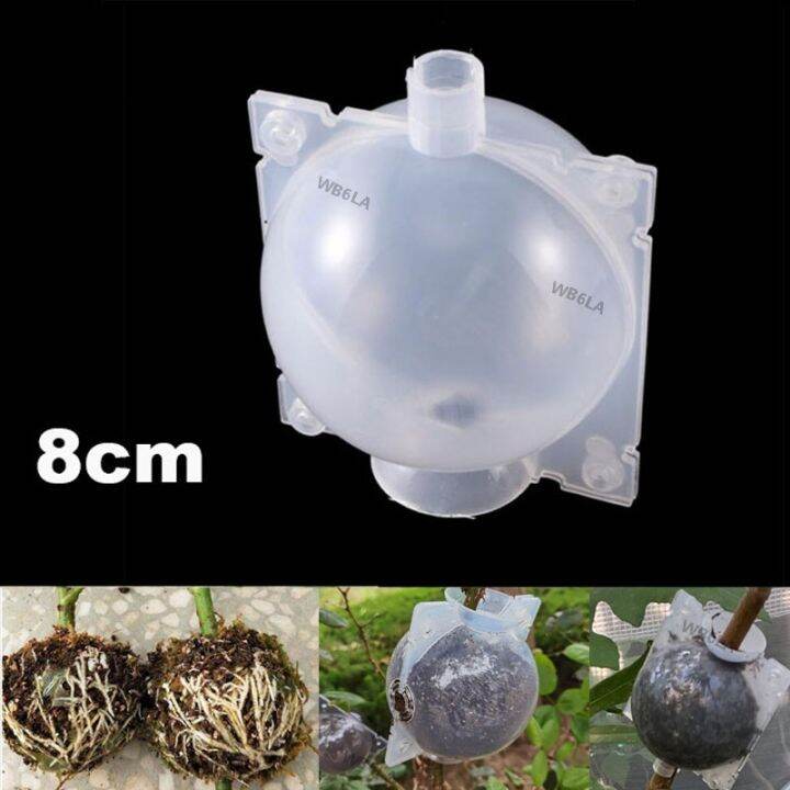 8cm Garden Fruit Tree Plant Rooting Ball Root Growing Boxes Case ...