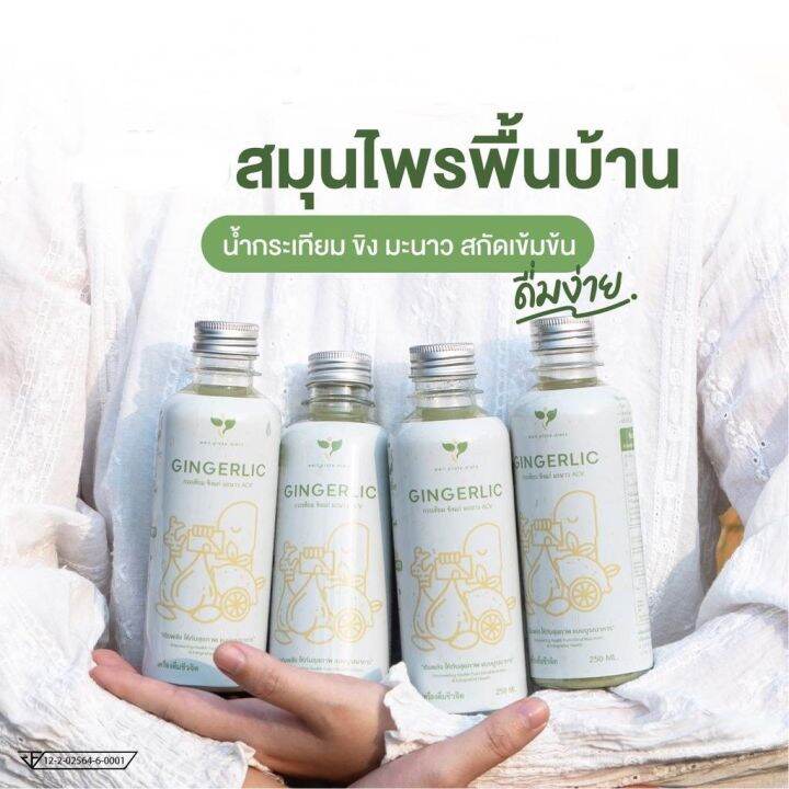 GINGERLIC (โปร 4 ขวด) เครื่องดื่มสมุนไพรสกัดเย็น กระเทียม + ขิง + มะนาว + น้ำแอปเปิ้ลไซเดอร์ ...