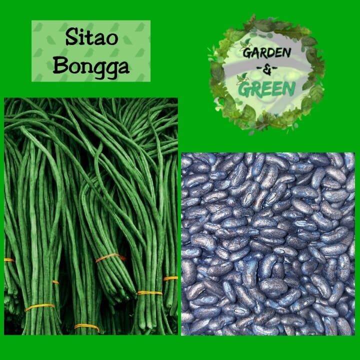Pole Sitao Bongga (15grams) Sitaw | Lazada PH