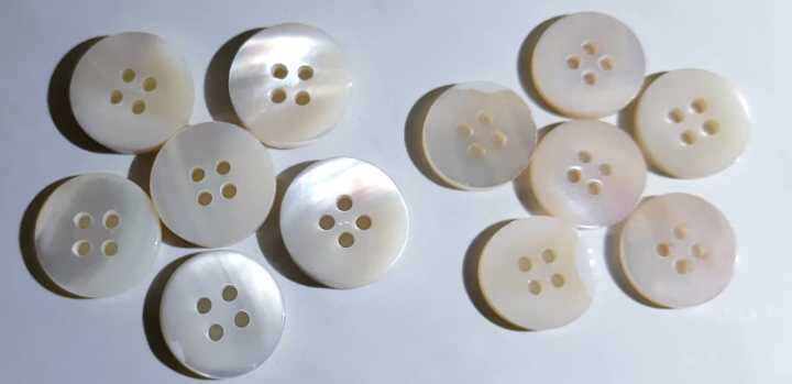 kancing kerang putih lubang 4 isi 12pcs | Lazada Indonesia