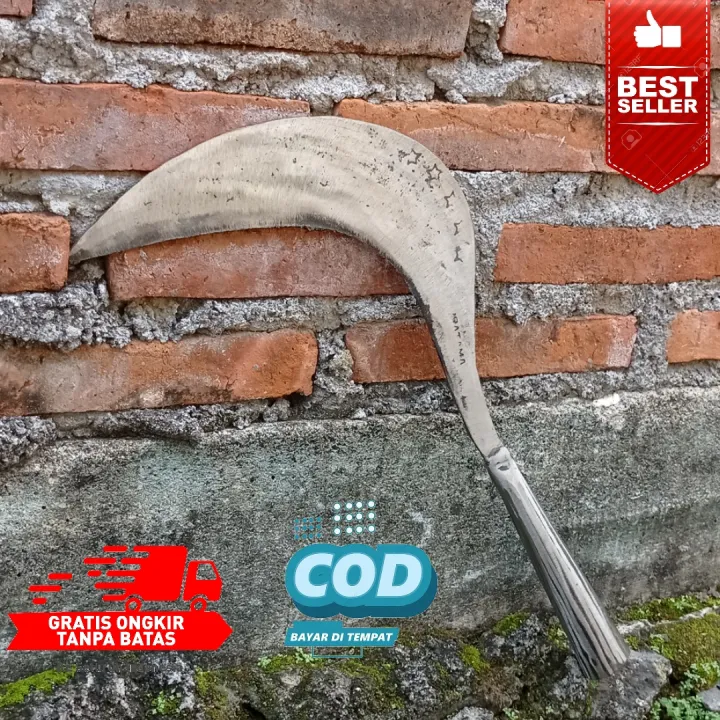 Arit sabit gagang besi super tajam berkualitas super-sabit padi dan ...