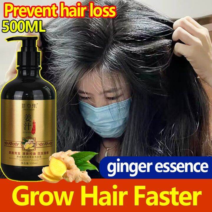 Korea Ginger Hair Shampoo Fast Regrowth Hair Thick Anti Hair Loss