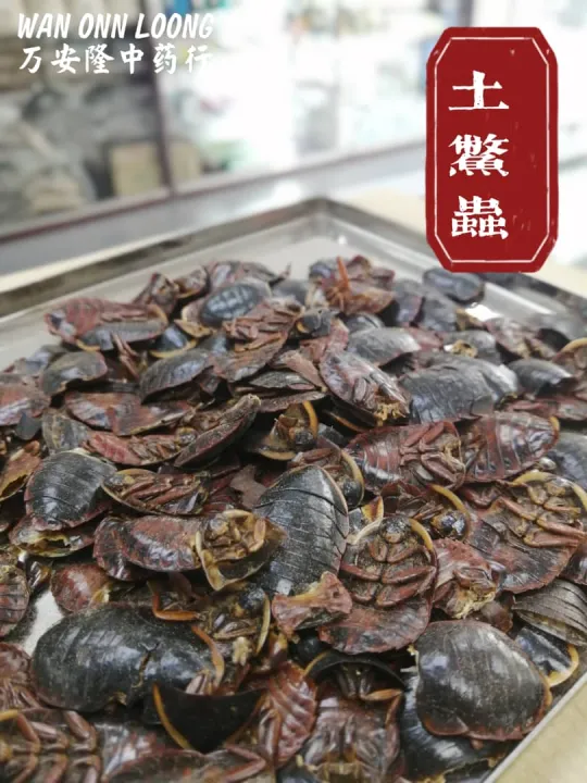 万安隆土鳖虫 Wan Onn Loong Tu Bie Chongwoodlouse 破瘀血 续筋骨 瘀血经闭 经痛 Lazada